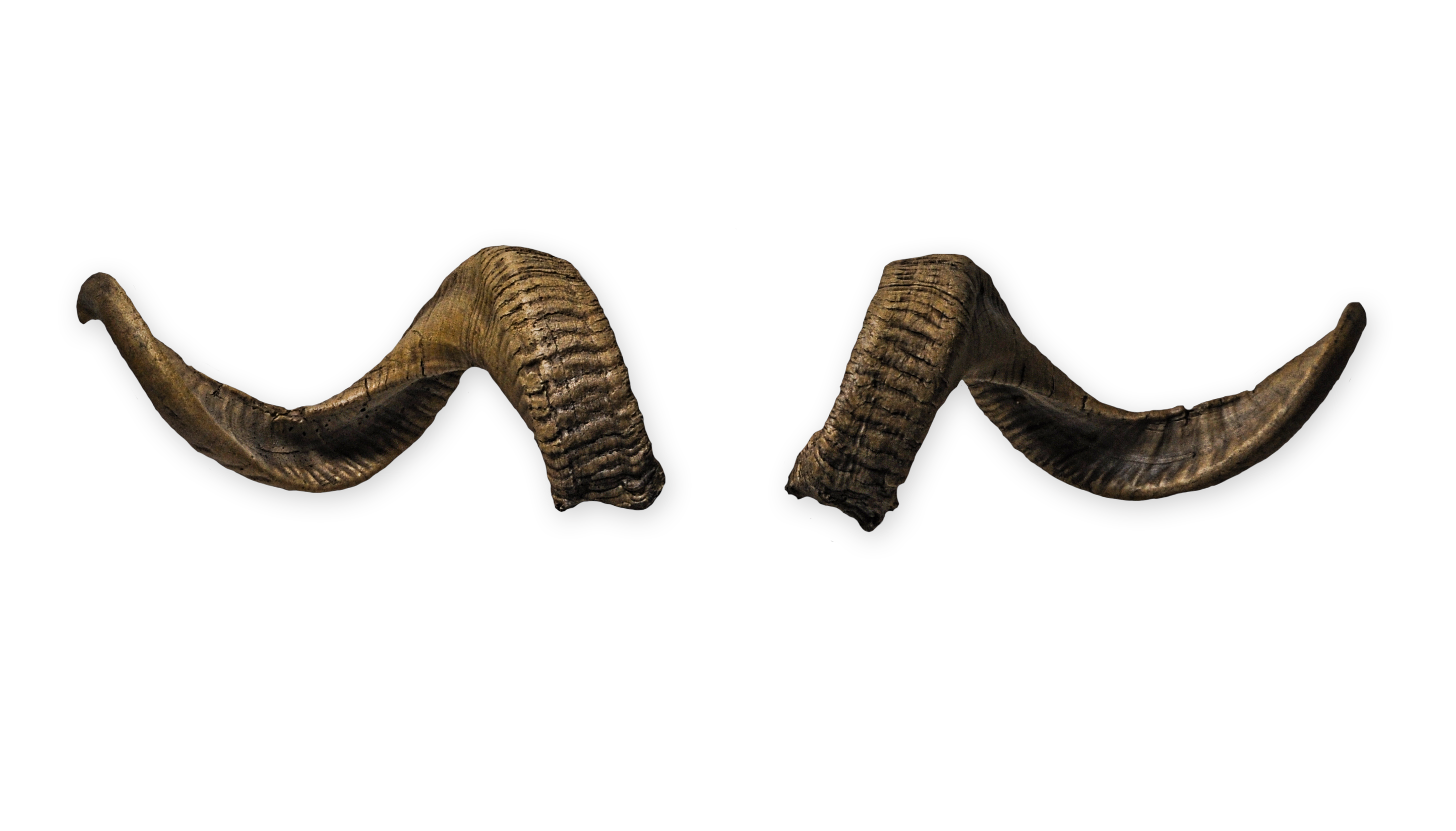 Widder H. 6 aus Polyurethan, 65 cm | Horns | Krampus masks ...