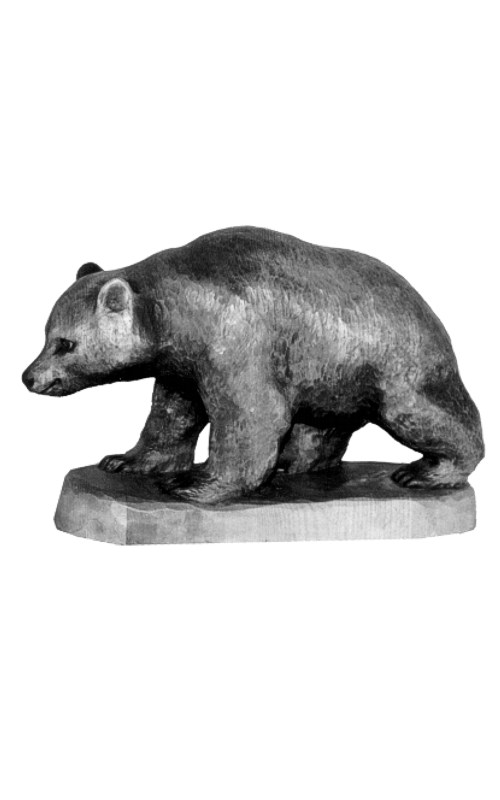 Grizzli-bear | Animals | Roughouts | PrecarvAustria / Austrian ...