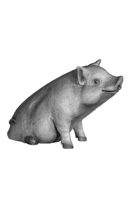 Pig sitting | Animals | Roughouts | PrecarvAustria / Austrian ...